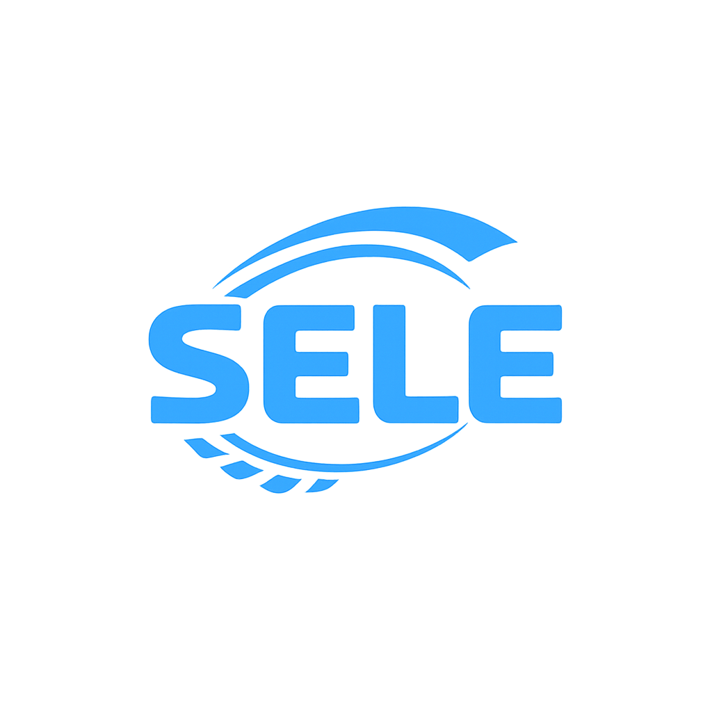 SELE AI Solutions | IA, Data & Stratégie au Sénégal